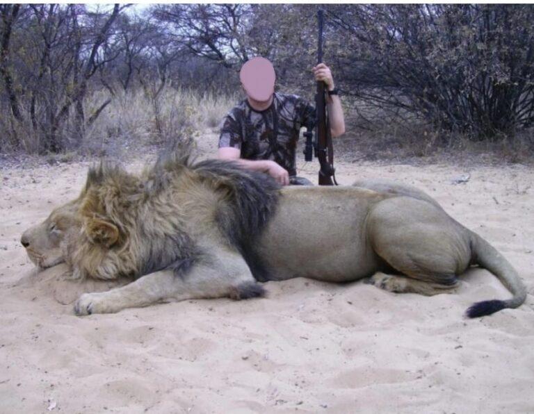 Lion Hunting in Africa | Ethical Safaris & Conservation Guide