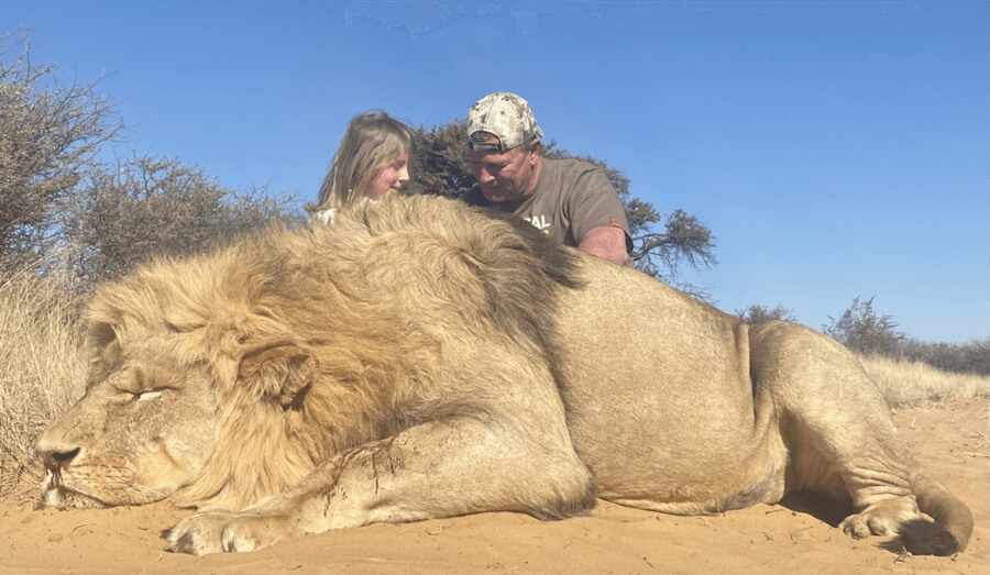 Hunting Lion in South Africa…Is it the End of the Captive Hunt?
