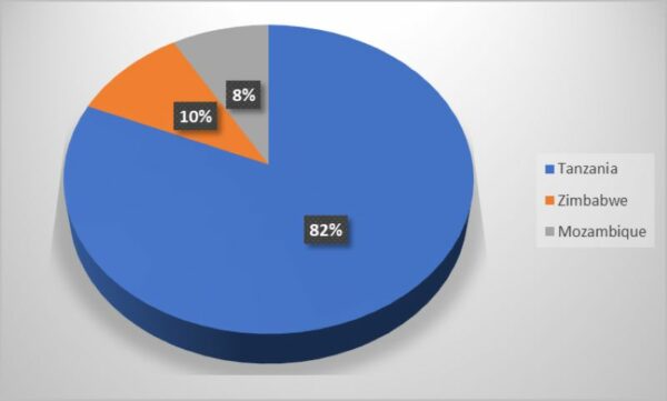 The Three Destinations for Hunting Lion in Africa