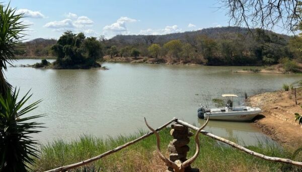 Crocodile Hunting in Mozambique, the Safari Particulars