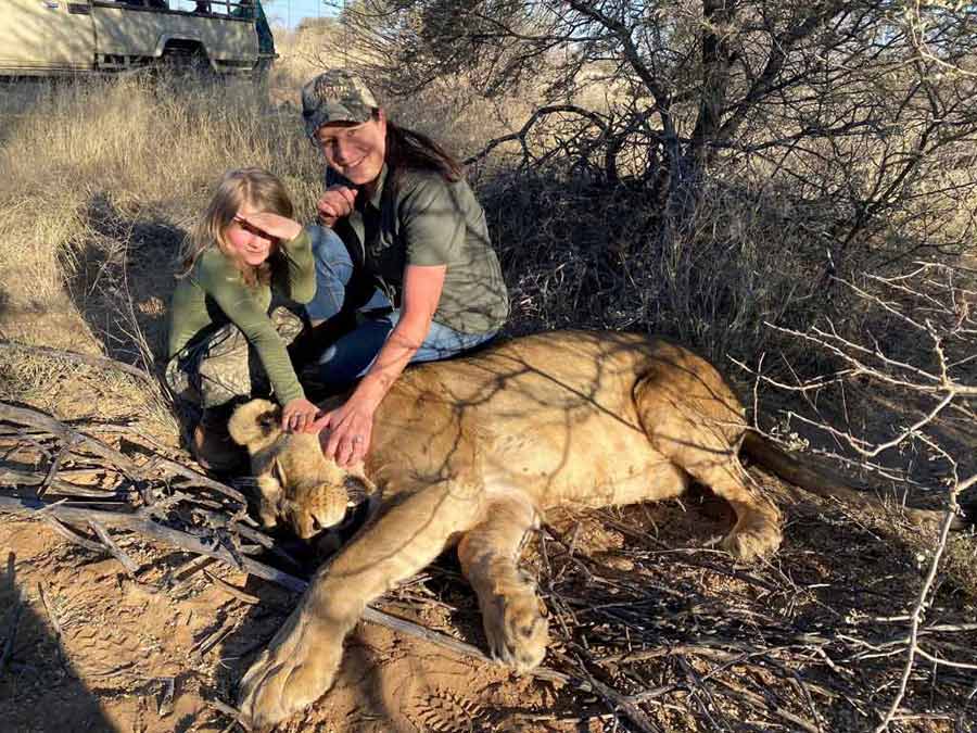 Hunting Lion in Africa: Top African Destinations