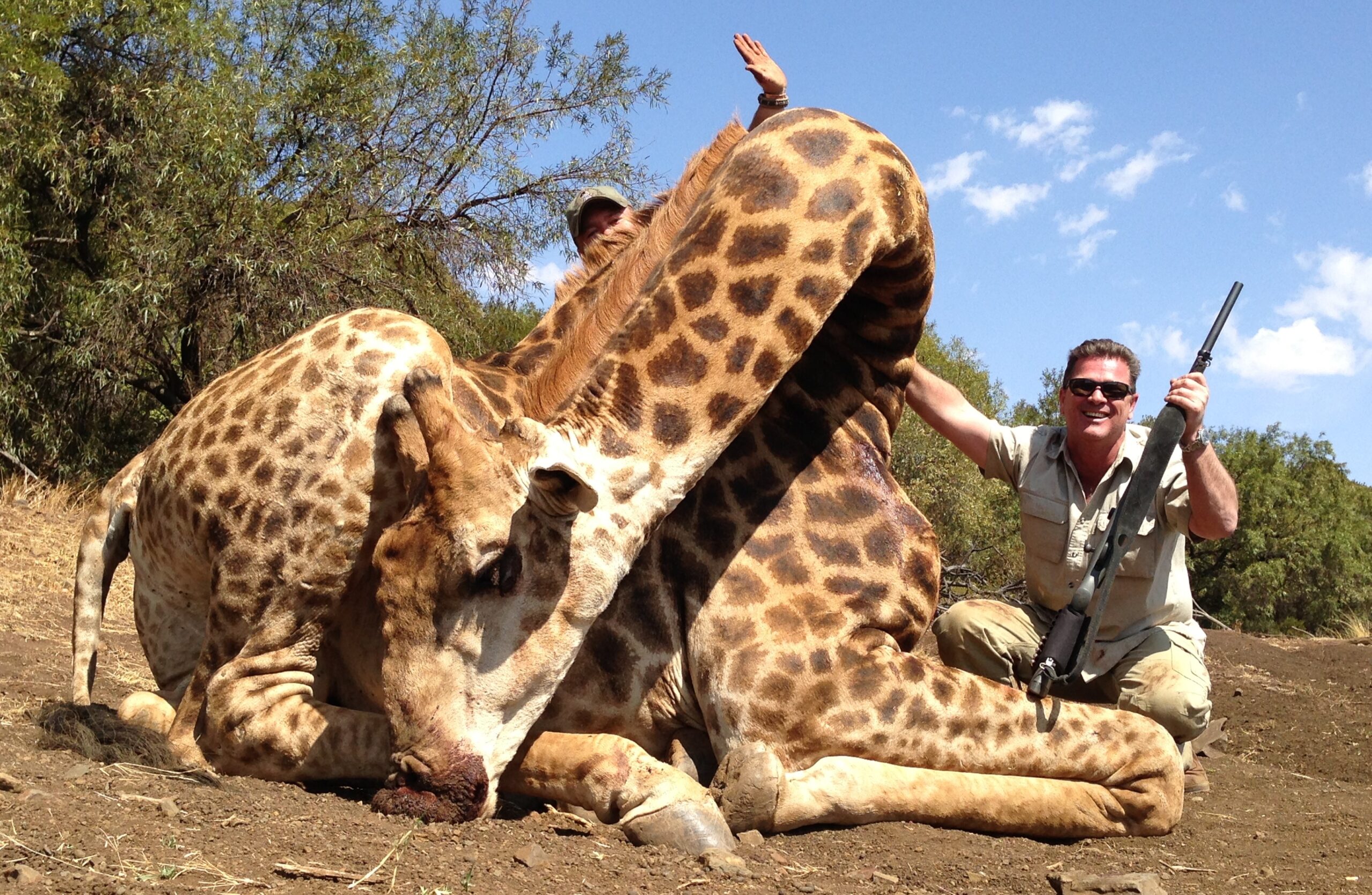 Giraffe Hunting Safari | North West Province, South Africa