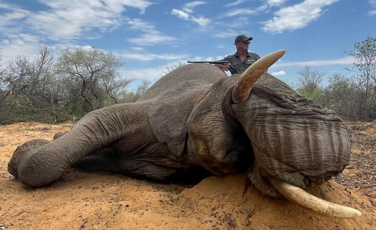 Drought Relief Elephant Hunt in Namibia | Ethical Big Game Safari