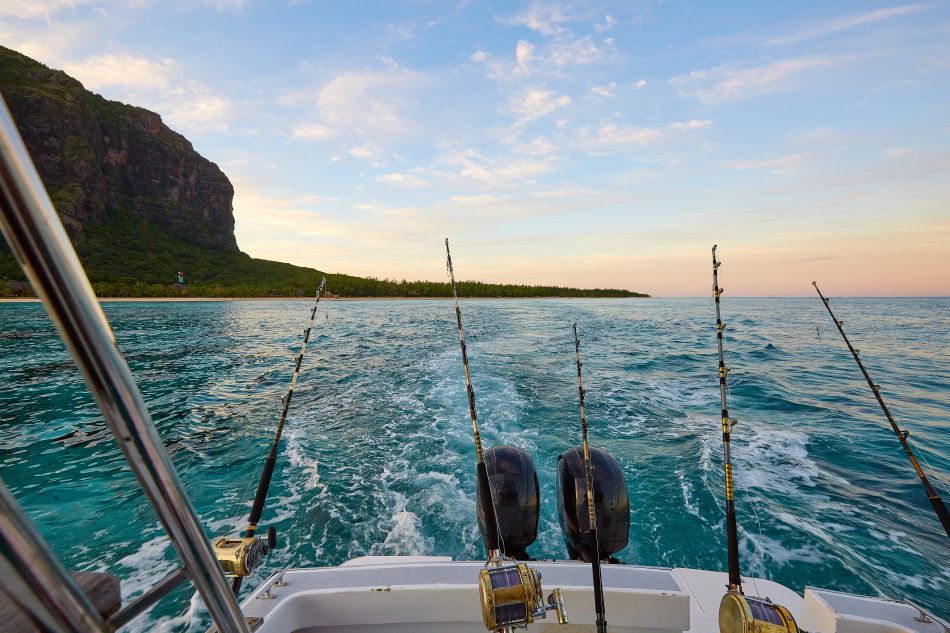 Hunting in Mauritius: Enjoying A Tropical Island Hunting Trip