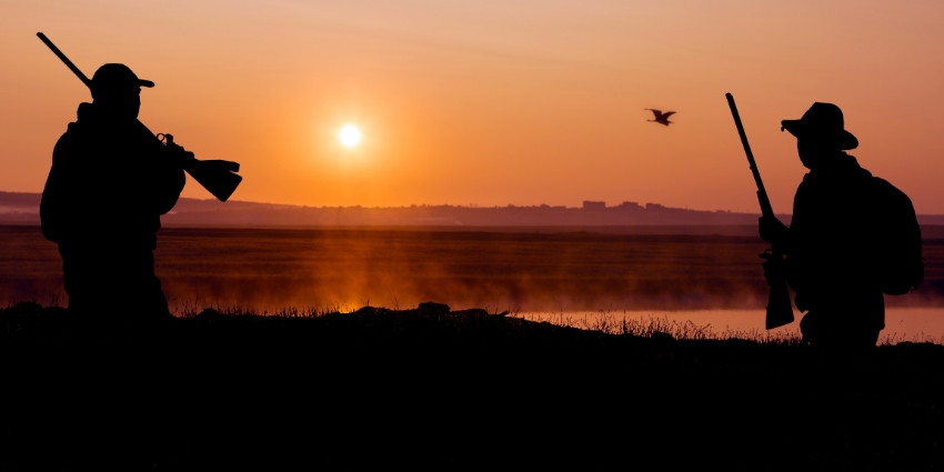 Contact Game Hunting Safari | African Hunting Broker Gateway